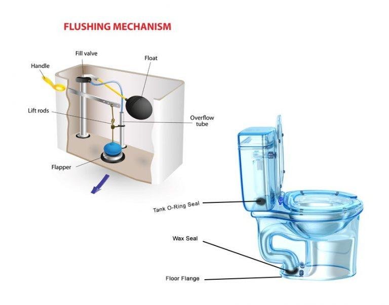 4 Steps To Fix Toilet Leaking At The Base + Tips • Proplumber